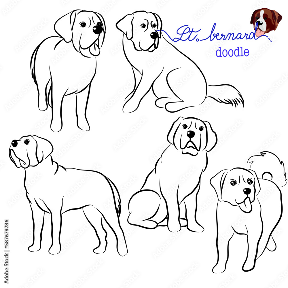 Doodle Cartoon St Bernard illustration set in different poses. Cute ...