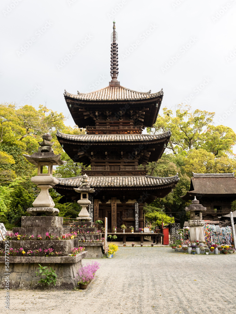 Matsuyama, Ehime prefecture, Japan - April 10, 2018: On the grounds of ...