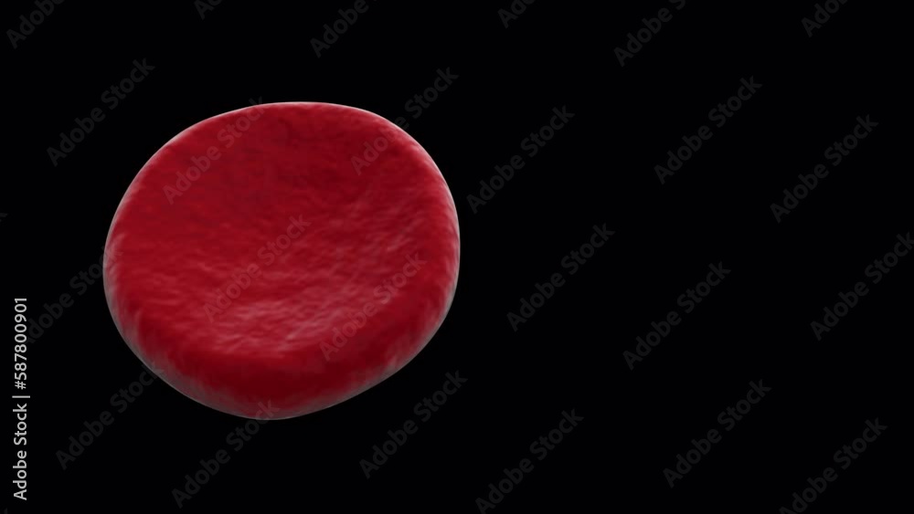 An animated presentation of a single red blood cell. The shot has an ...