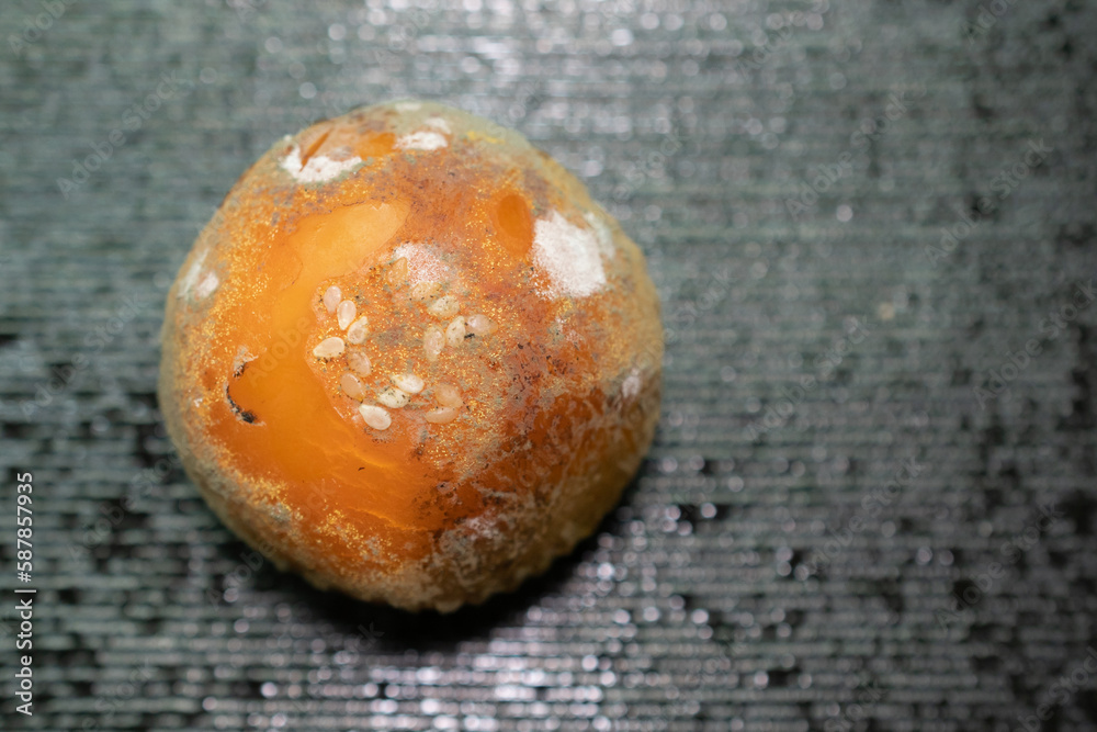Moldy on Chinese pastry mooncake. If cakes and breads are packed while ...