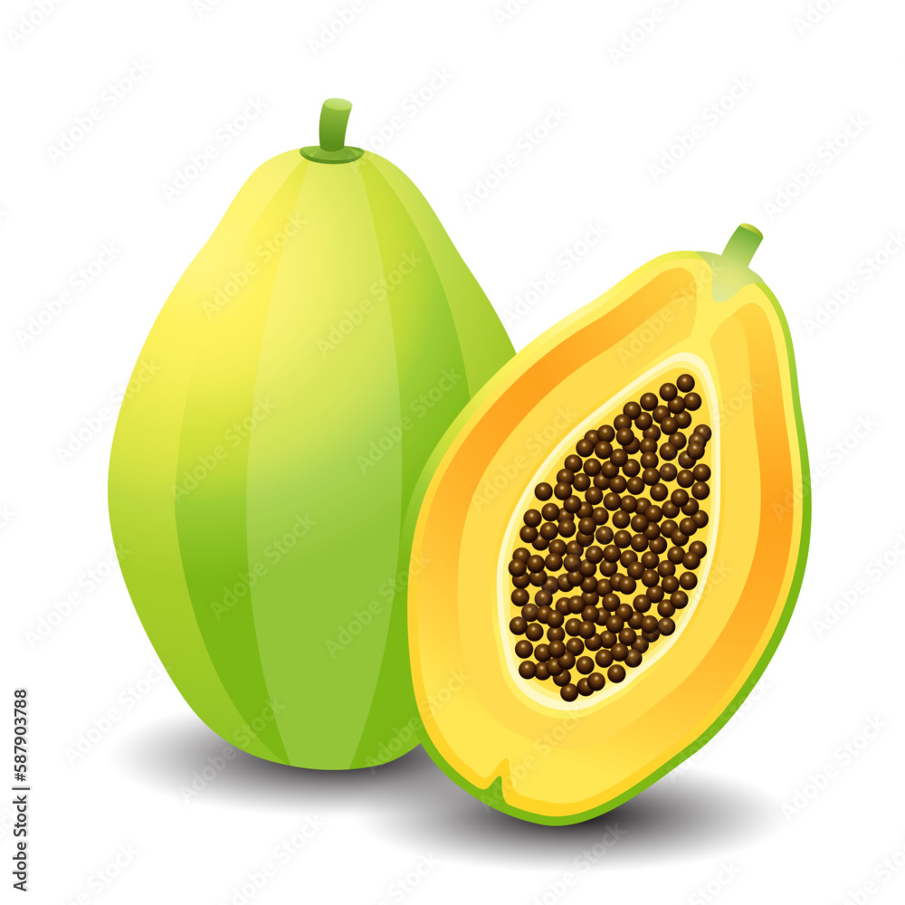 Cartoon papaya, isolated on white background, papaya icon vector ...