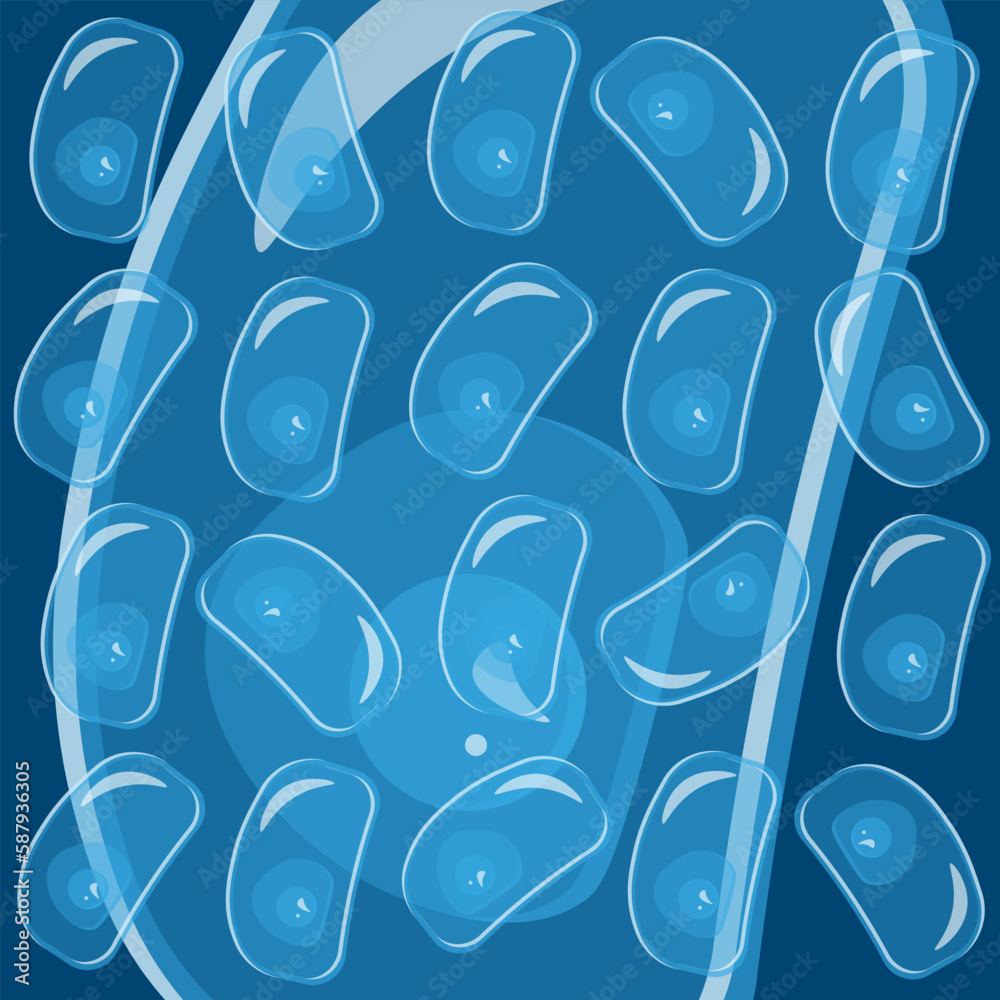 Flat Illustration Of The Infusoria Of The Slipper A Human Cell With Flat Illustration Of The Infusoria Of The Slipper A Human Cell With