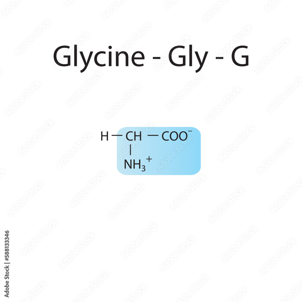 Glycine - Gly - G amino acid structure. Skeletal formula with amino ...