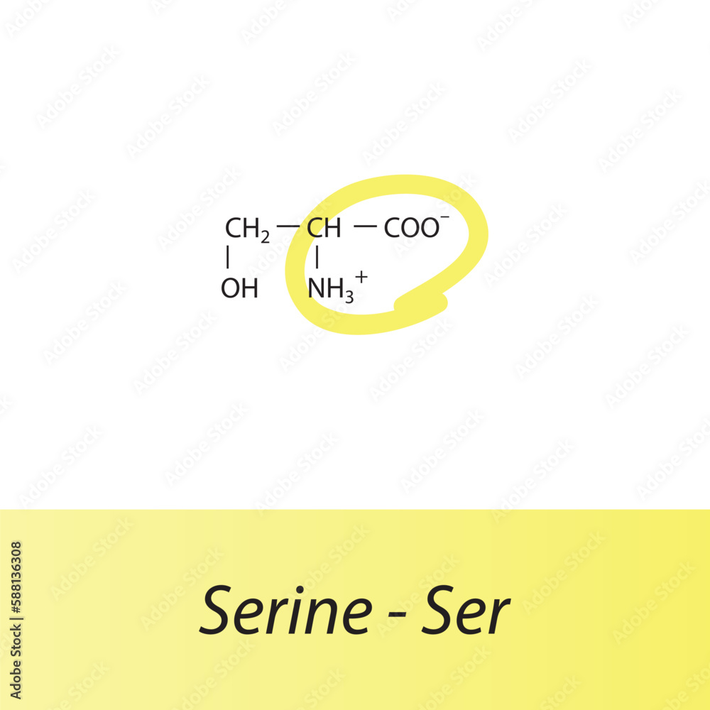 Serine - Ser - S amino acid structure. Skeletal formula with amino ...