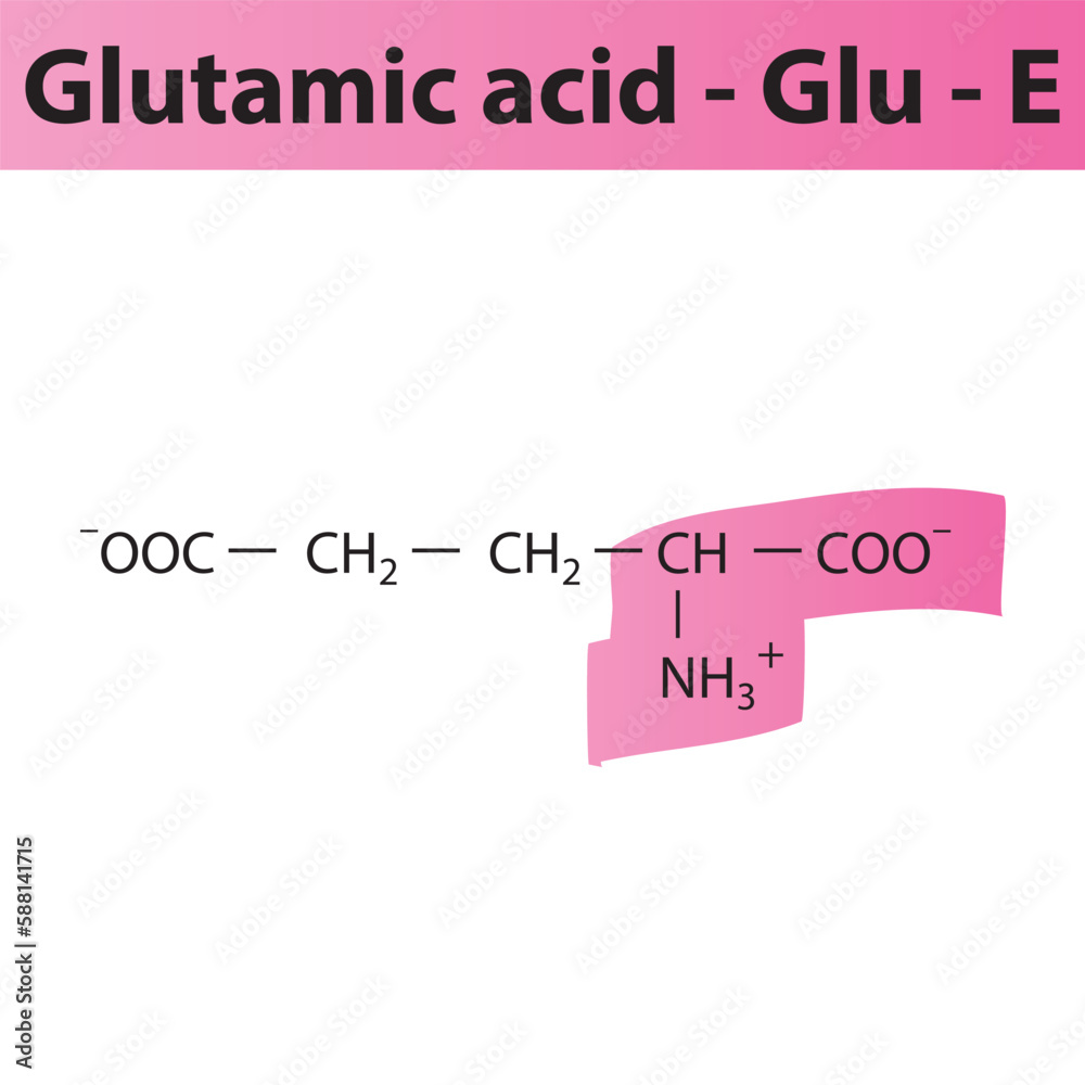 Vettoriale Stock Glutamic acid - Glu - E amino acid structure. Skeletal ...