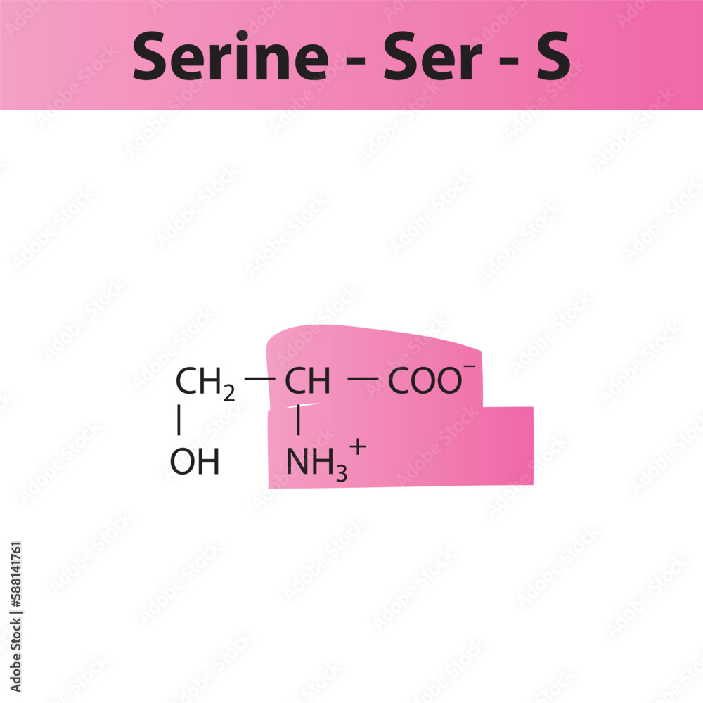 Serine - Ser - S amino acid structure. Skeletal formula with amino ...