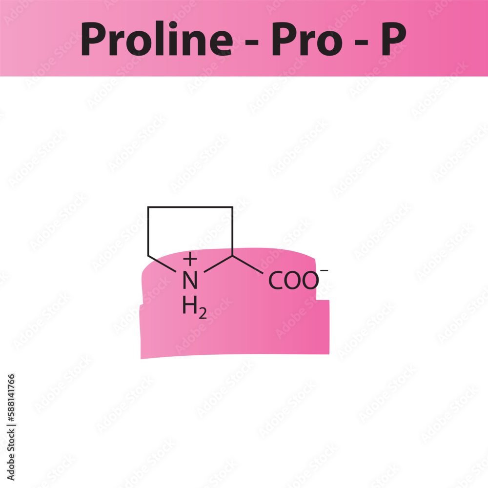 Proline - Pro - P amino acid structure. Skeletal formula with amino ...