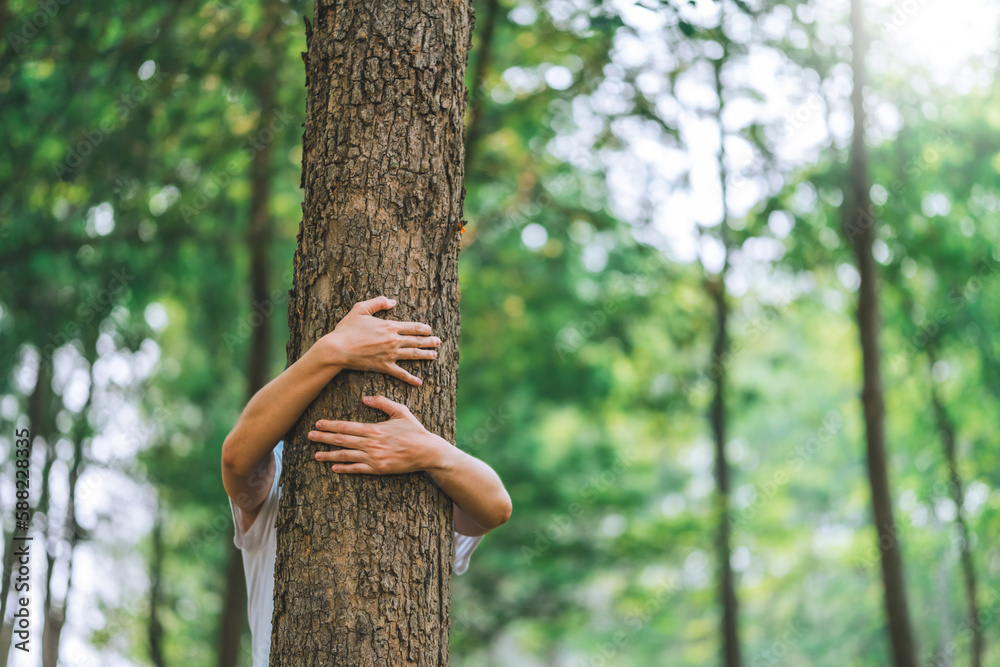 Human hand Hug and touching tree in the forest .people protect from ...