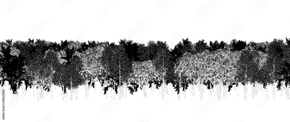trees in the forest isolated on white background, sketch, outline ...