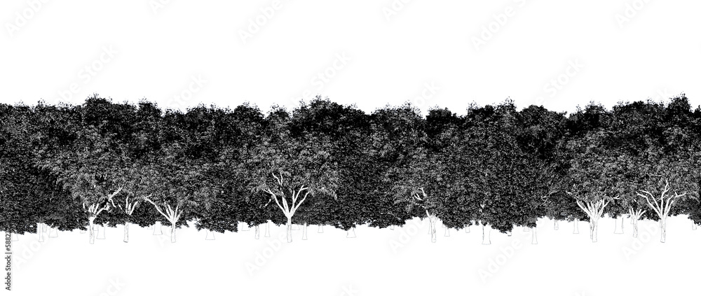 trees in the forest isolated on a transparent background, sketch ...