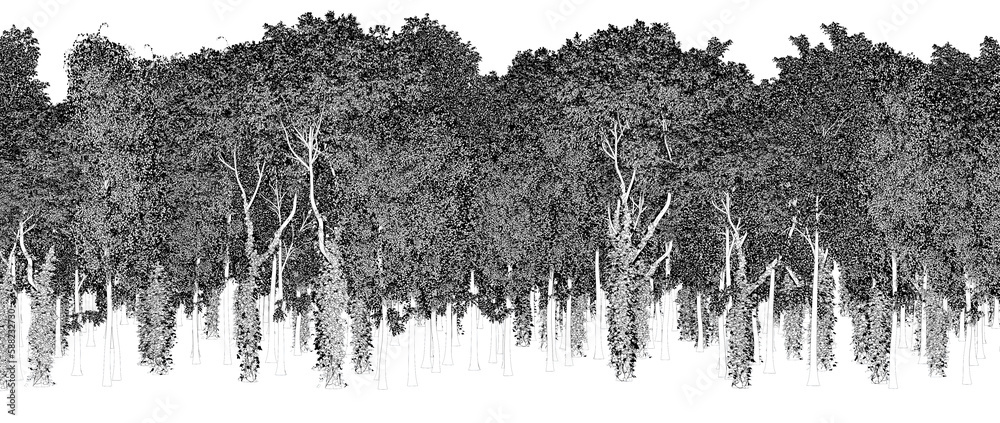 trees in the forest isolated on a transparent background, sketch ...