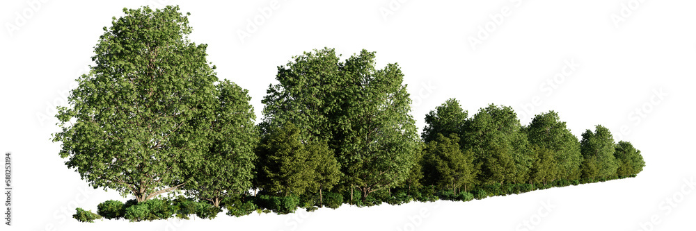 forest landscape, natural hedge with green trees and shrubs, isolated ...