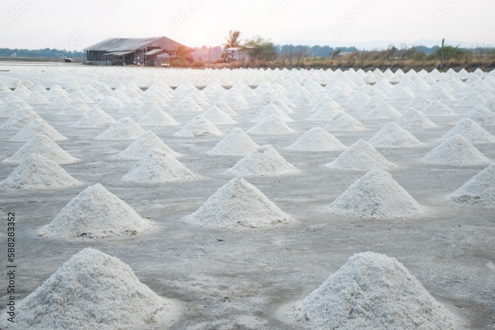 Sea salt production field in countryside of Thailand, salt industry ...
