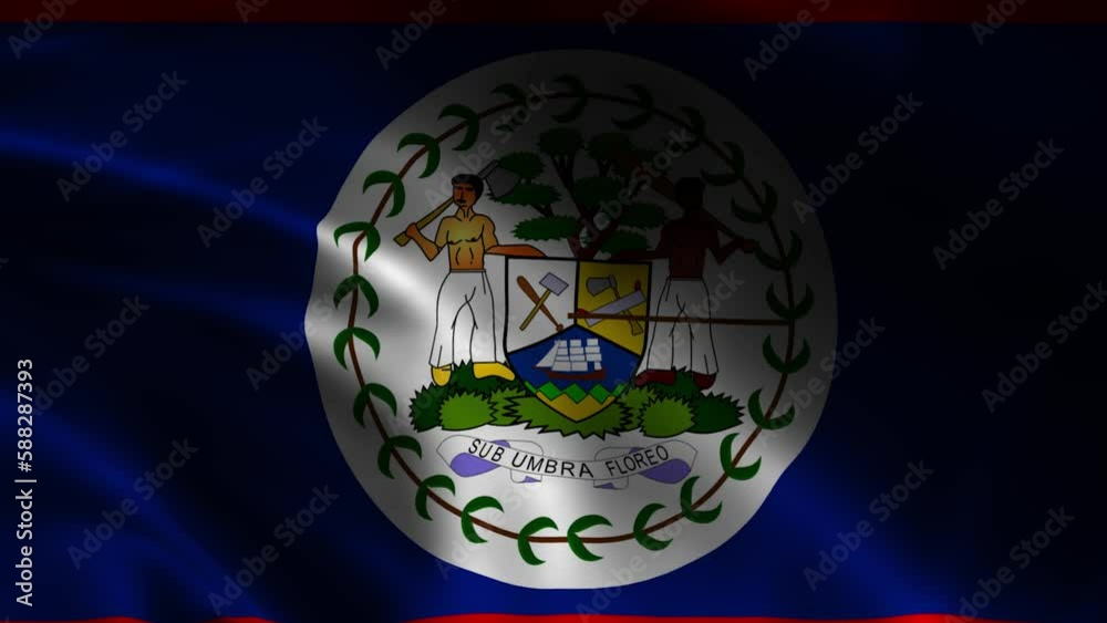 Animation of waving a flag of Belize, the national flag. Belizeans ...