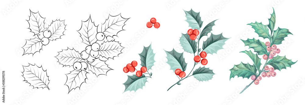 Vetor de Set of different branches of mistletoe flowers isolated ...