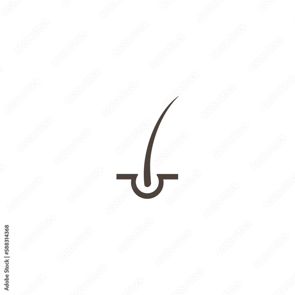 Epidermis. Hair follicle. Pore. Hair growth cycle. Simple skin and hair ...