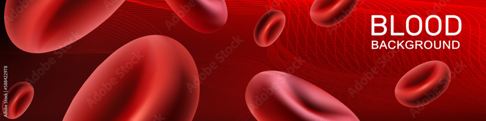 Blood with red erythrocytes flows through the veins and vessels of a ...