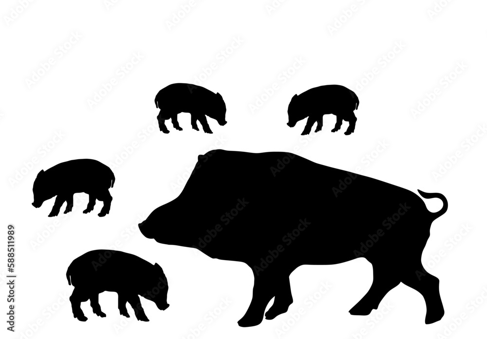 Male warthog with baby pigs vector silhouette illustration isolated on ...