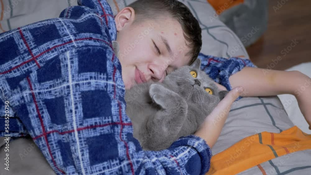 Sleepy Tired Child Falls Asleep on Bed Hugging a Grey Fluffy Cat in ...