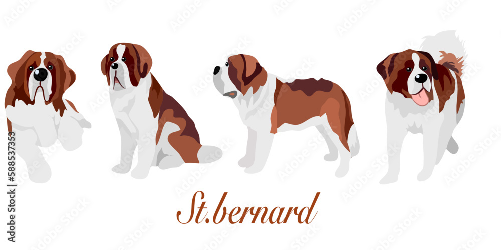 Doodle Cartoon St Bernard illustration set in different poses. Cute ...