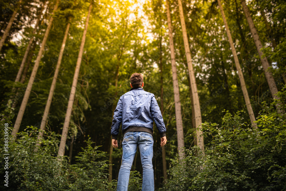 Man standing in a pine forest looking up in awe enjoying feeling free ...