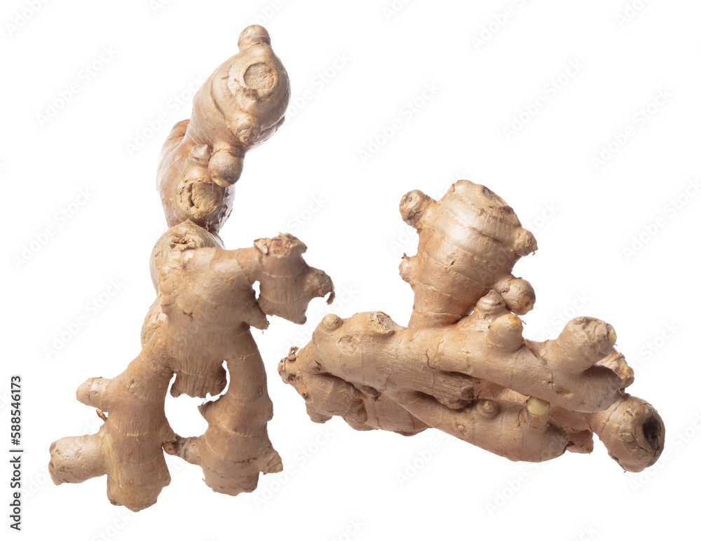 Ginger fall fly in mid air, fresh vegetable spice ginger falling ...