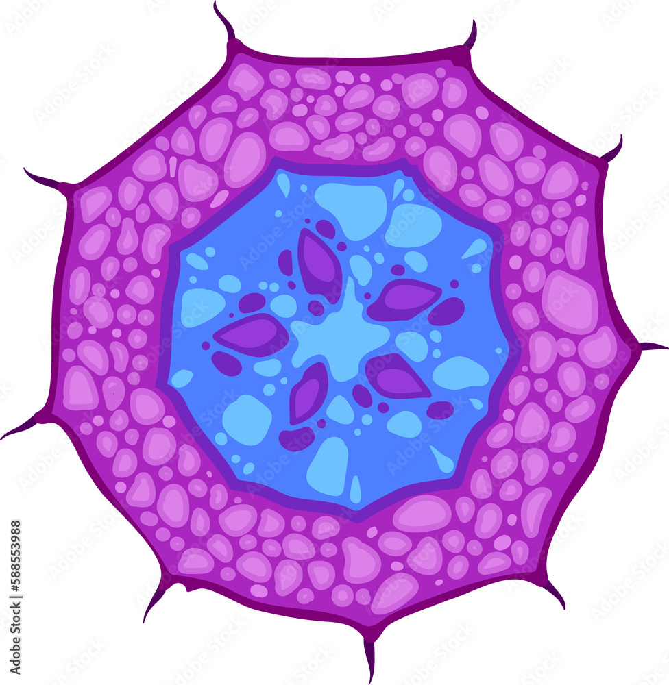Protista, protozoa, ameba microorganism cute germ Stock Illustration ...