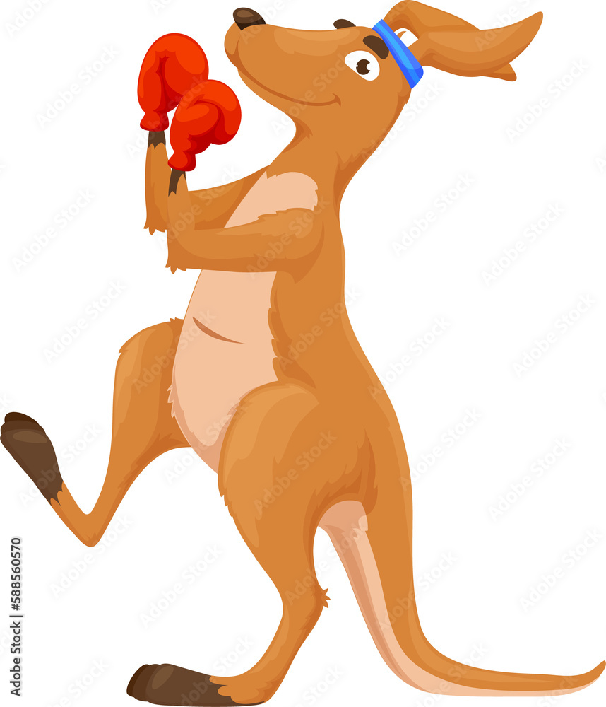 Cartoon boxing kangaroo character, animal boxer Stock Illustration ...