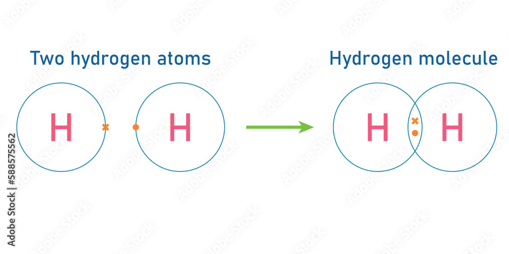 Covalent bond of the hydrogen molecule. Two hydrogen atoms and hydrogen ...
