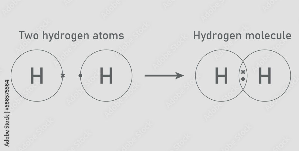 Covalent bond of the hydrogen molecule. Two hydrogen atoms and hydrogen molecule. Vector ...