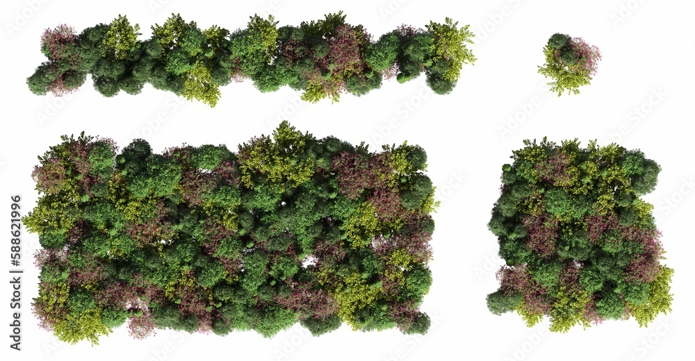 trees in the forest, top view, area view, isolated on white background ...