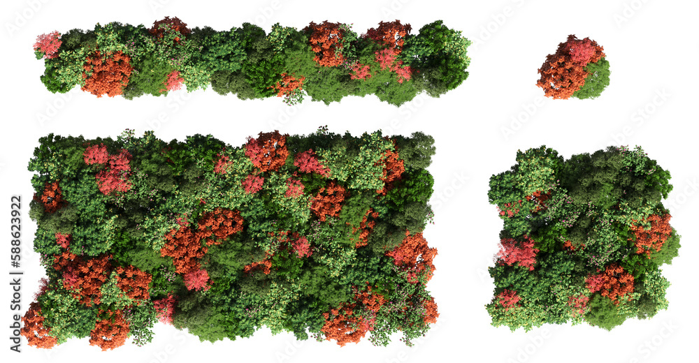trees in the forest, top view, area view, isolated on transparent ...
