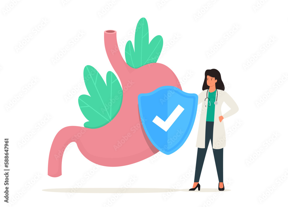 Healthy protected stomach. Woman doctor with stomach icon protected ...