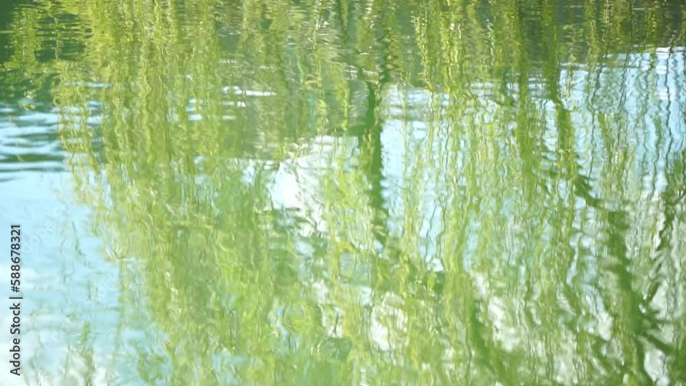 Stockvideon ripples on the water surface with reflection of branches of ...