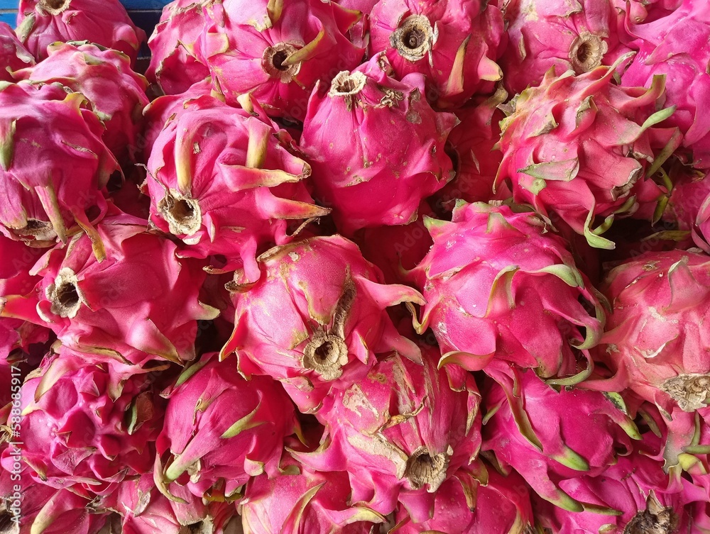Dragon fruit is the fruit of several types of cactus from the genera ...