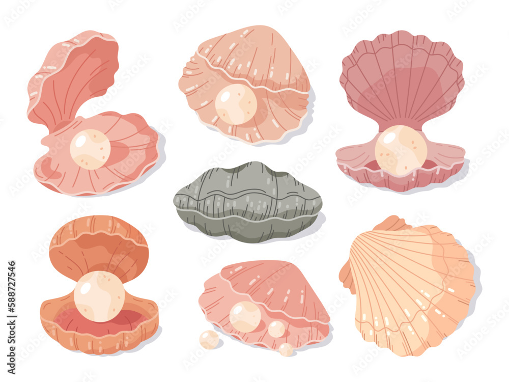 Sea Shell Open Vector