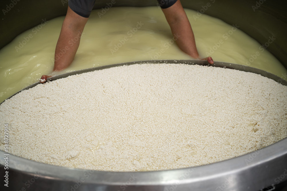 Manual worker in cheese and milk dairy production factory, part of ...