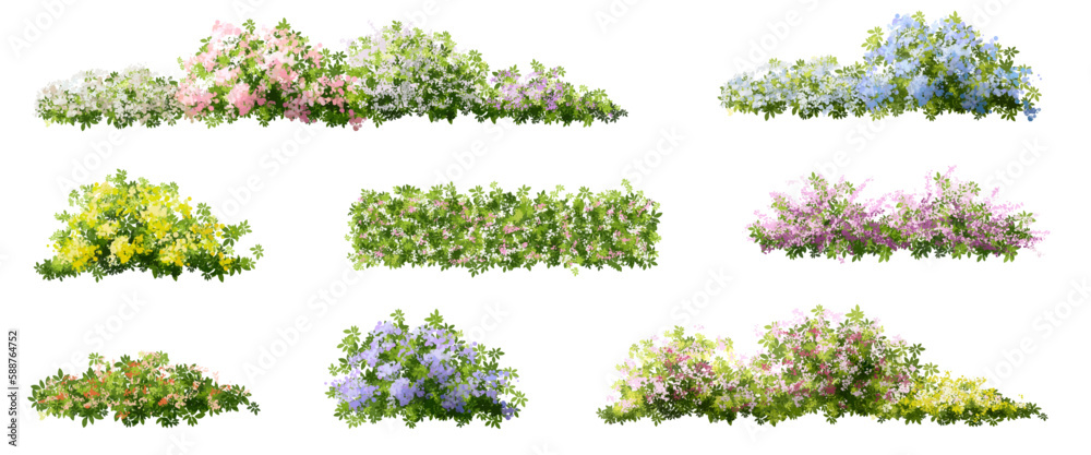 Vector watercolor blooming flower tree side view isolated on white ...