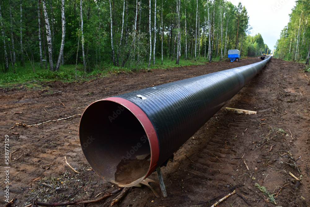 Natural Gas Pipeline Construction. Crude oil transmission in pipe from ...
