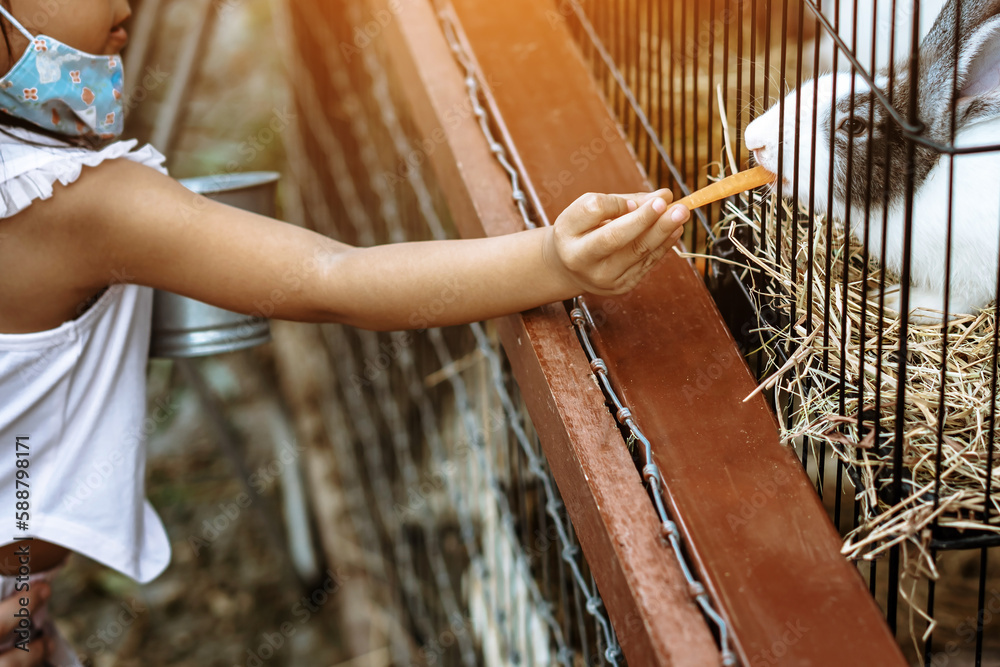 Adorable little girl feeding rabbit at farm. Kid feeding and petting ...