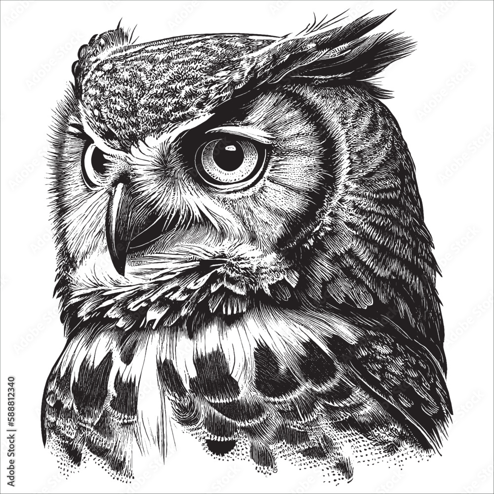 Hand Drawn Engraving Pen and Ink Owl Head Vintage Vector Illustration ...