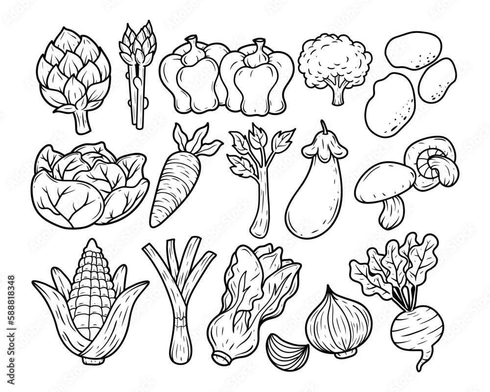Types of vegetable hand-drawn outline sketch illustration. Set of ...