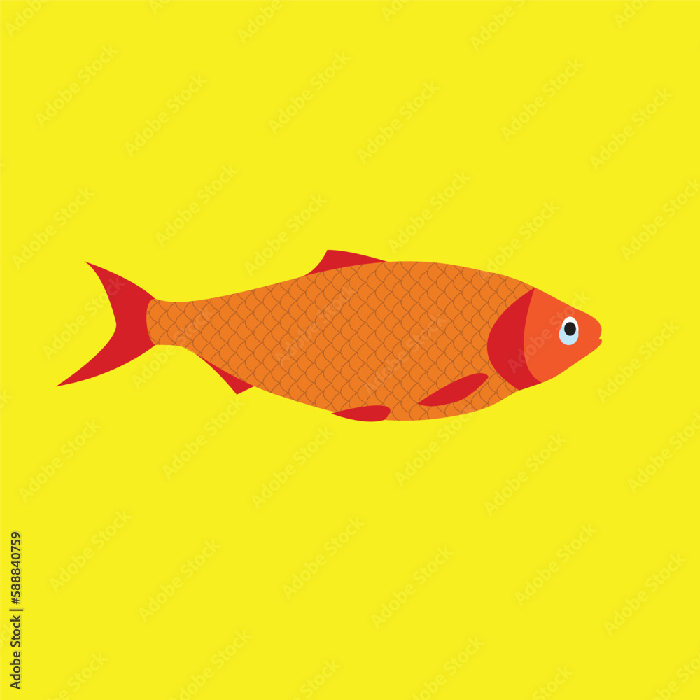 Vector illustration of Hilsafish (National fish of Bangladesh) popular ...