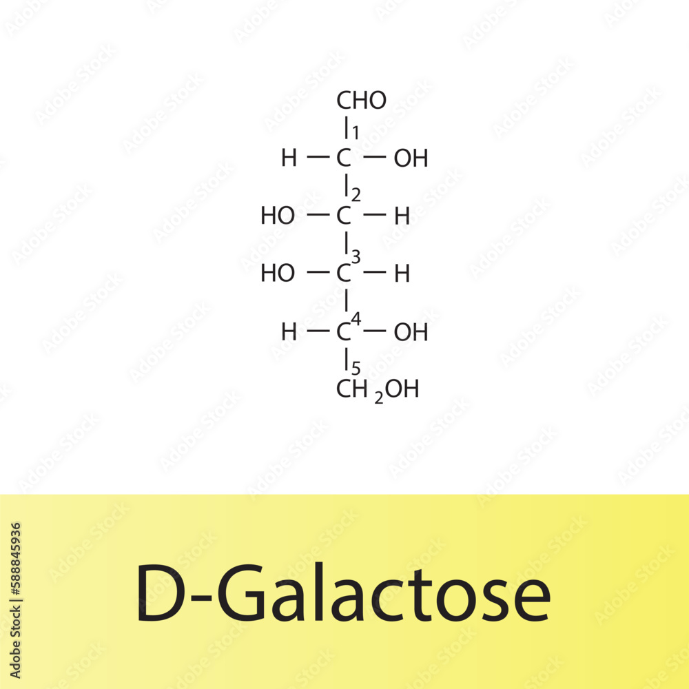 Straight chain form chemical structure of D-Galactose sugar. Scientific ...