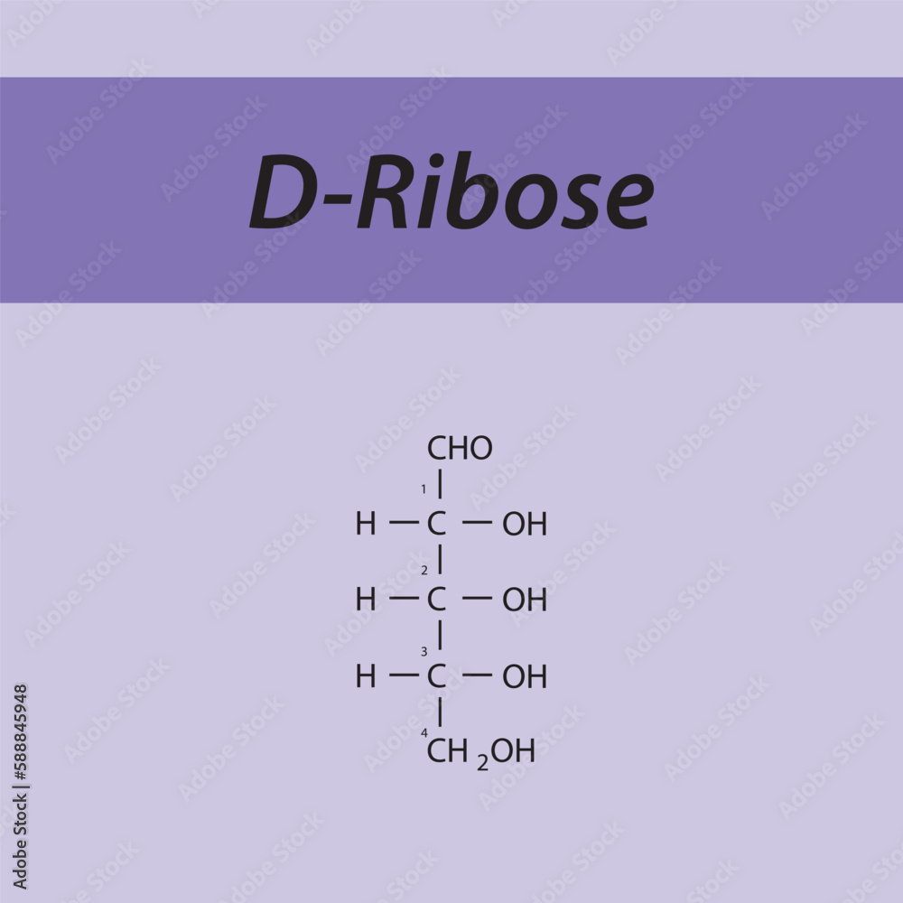 Straight chain form chemical structure of D-Ribose sugar. Scientific ...