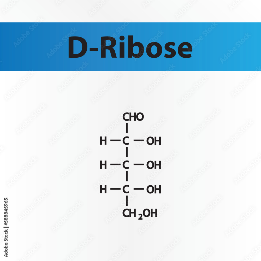 Straight Chain Form Chemical Structure Of D Ribose Sugar Scientific