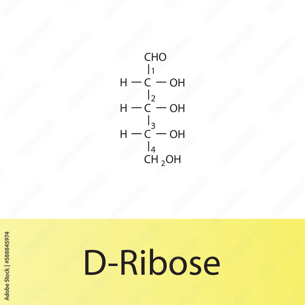 Vecteur Stock Straight chain form chemical structure of D-Ribose sugar ...