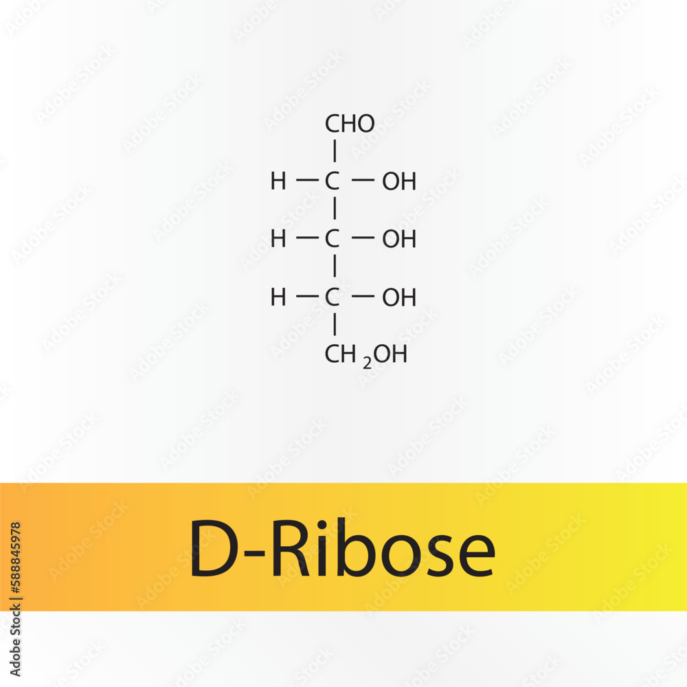 Straight chain form chemical structure of D-Ribose sugar. Scientific ...