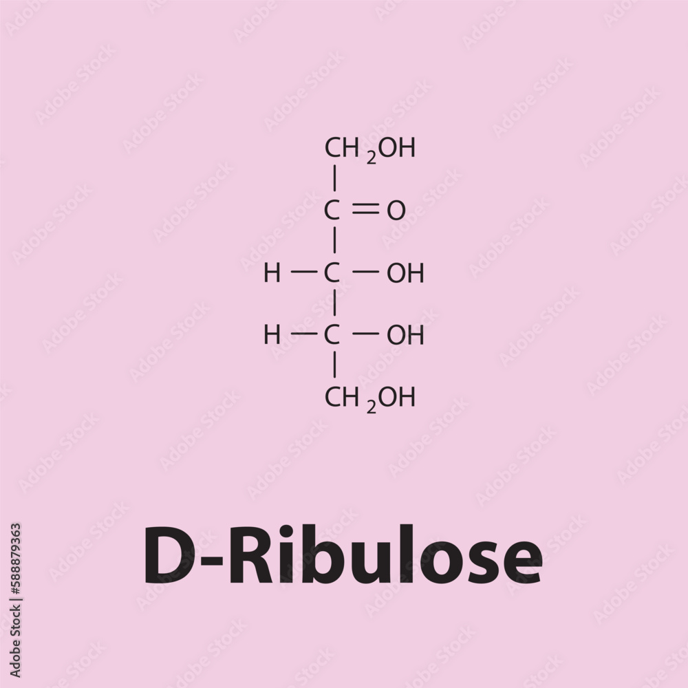 Straight chain form chemical structure of D-Ribulose sugar. Scientific vector illustration on ...