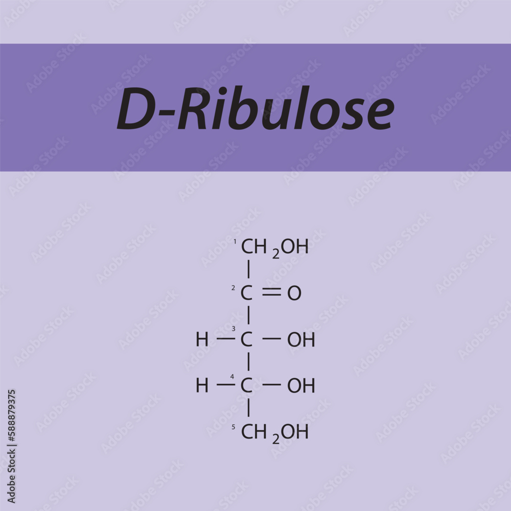 Straight chain form chemical structure of D-Ribulose sugar. Scientific ...